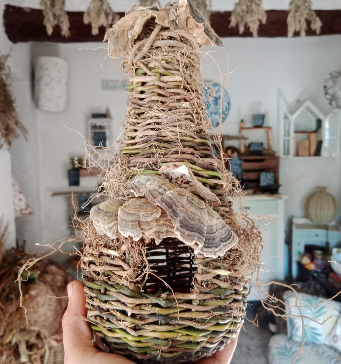 WORKSHOP DI CESTERIA SELVATICA: RACCOGLI E INTRECCIA - Mercato Italiano ...